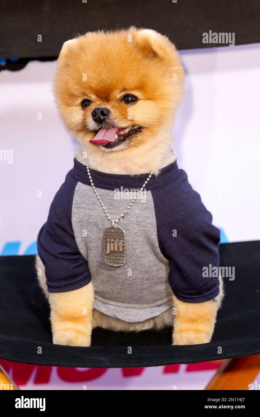 Jiff Pom arrives at the LA Premiere of "Smosh: The Movie" at Westwood ...