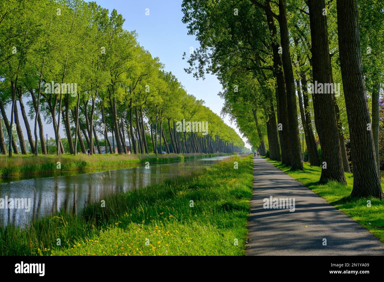 The canal of the beautiful village of Damme in Belgium Stock Photo - Alamy