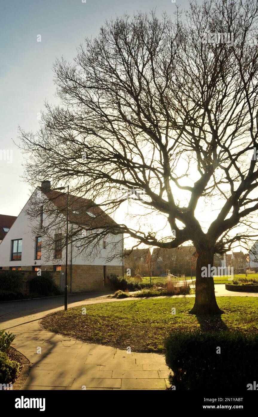 Skandanavian hi-res stock photography and images - Alamy