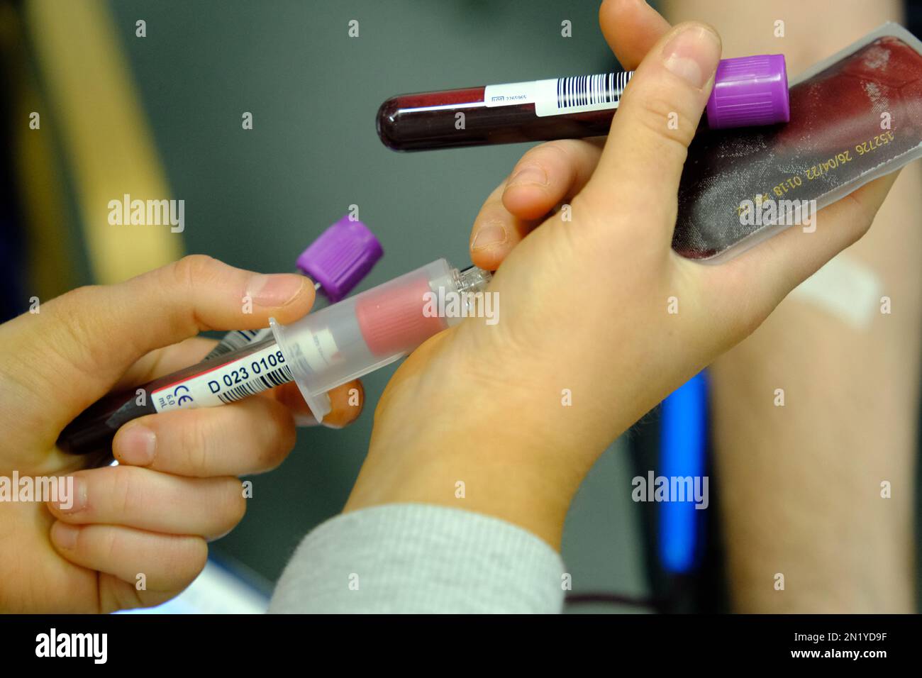 An employee sorts a blood donation into a container for a laboratory ...