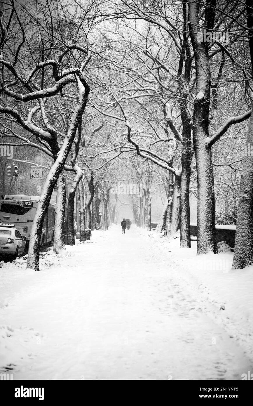 Large path in the park during snow Stock Photo - Alamy