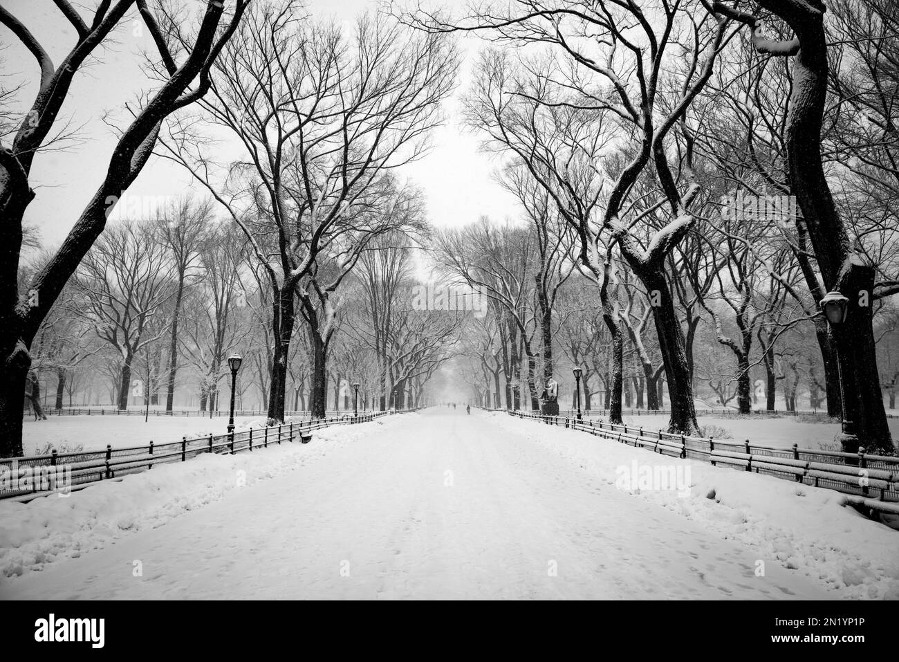 Large path in the park during snow Stock Photo - Alamy