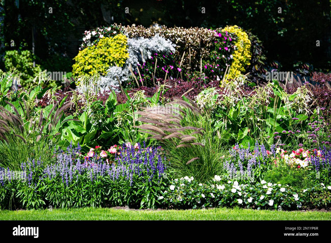 Very beautiful flower bed in the city park. Flowers and greenery in ...