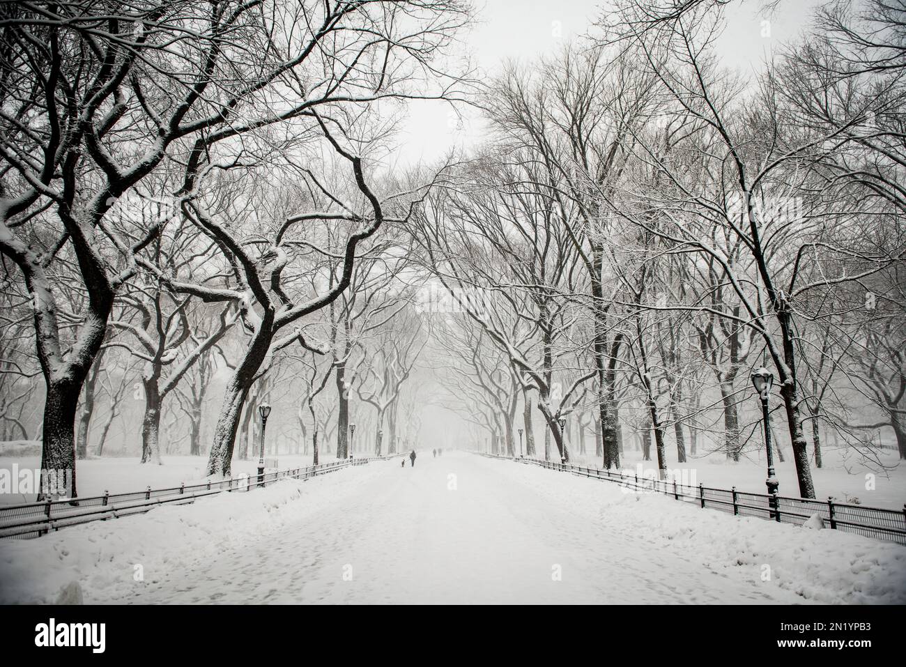 Large path hi-res stock photography and images - Alamy
