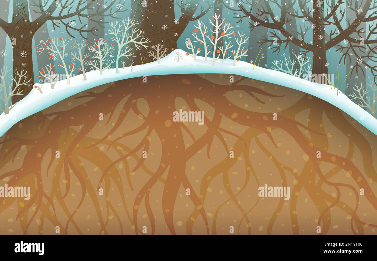 Underground soil hi-res stock photography and images - Alamy