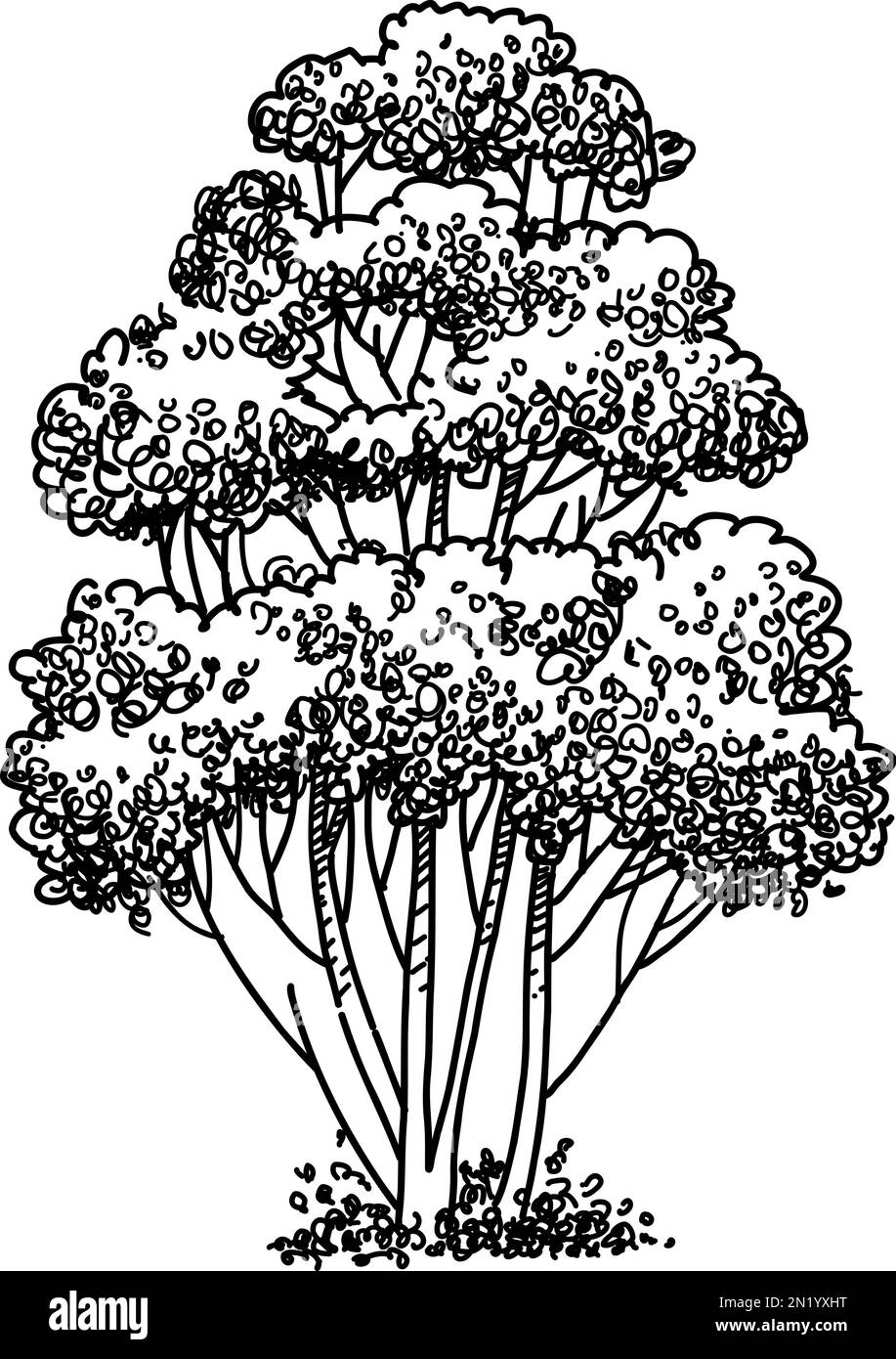 Plant tree forest icon outline, hand drawn vector. Garden drawing ...