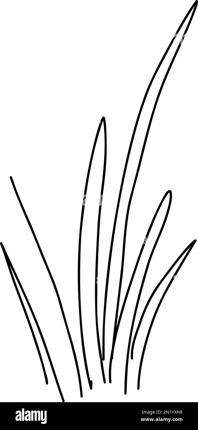 Grass Outline