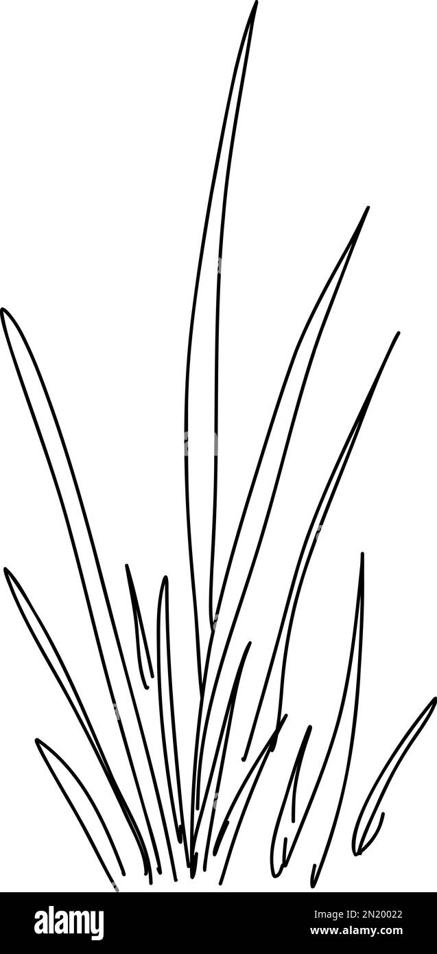 Grass leaf pen Cut Out Stock Images & Pictures - Alamy