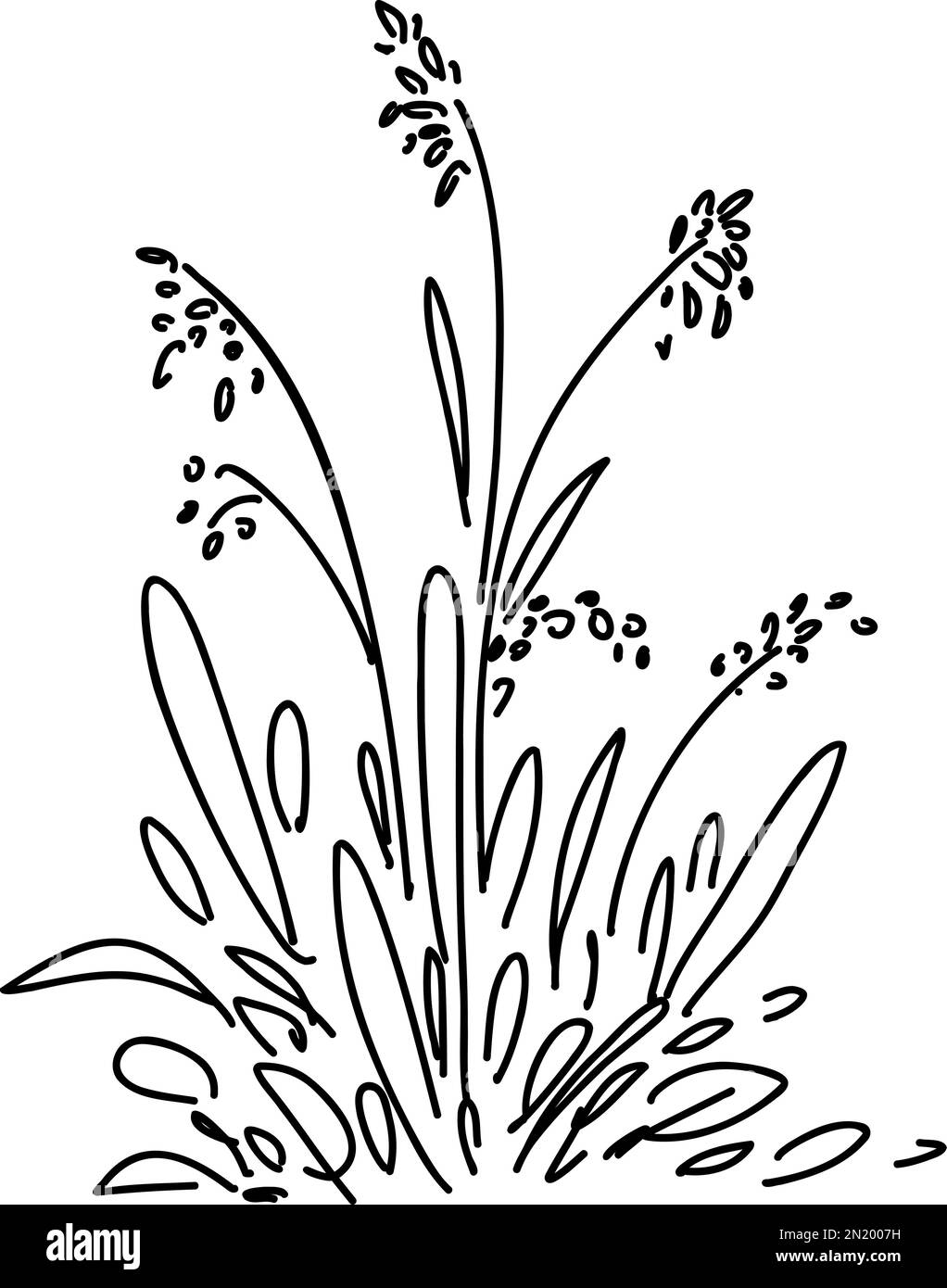 Plant grass forest icon outline, hand drawn vector. Garden drawing ...