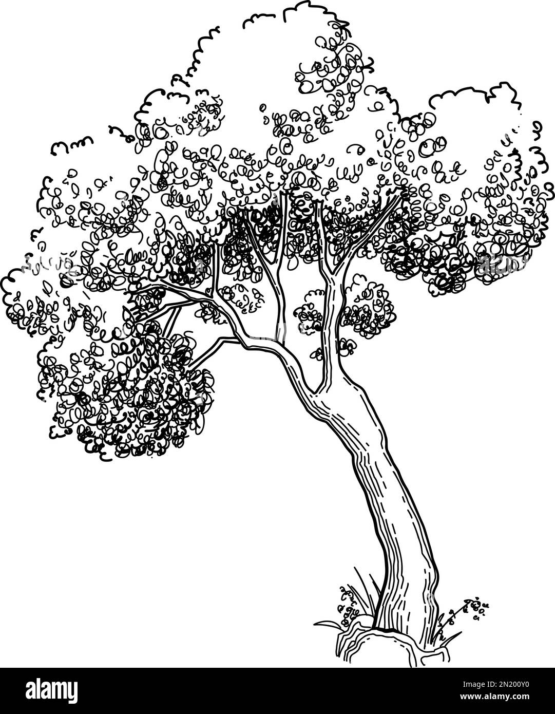 Plant tree forest icon outline, hand drawn vector. Garden drawing Stock ...