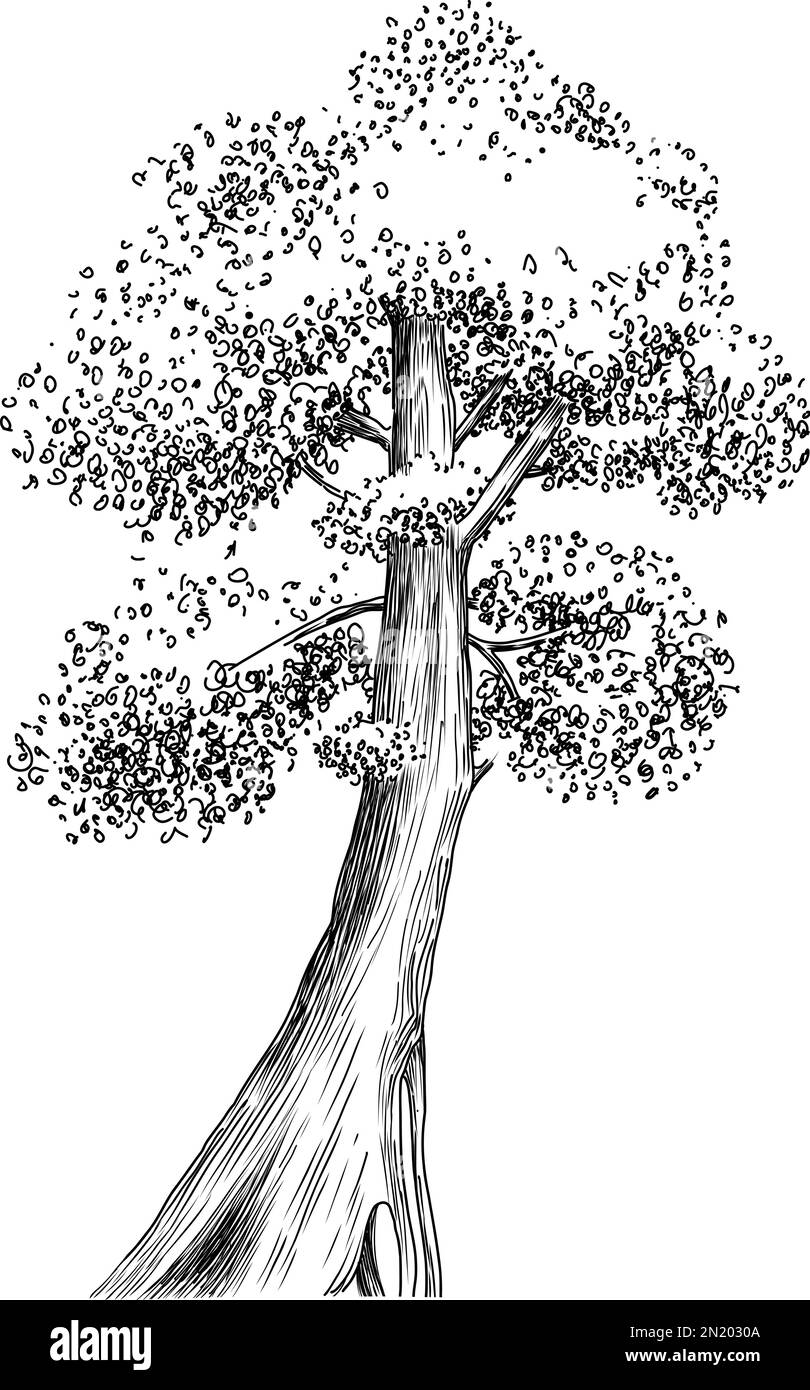 Plant tree forest icon outline, hand drawn vector. Garden drawing Stock ...