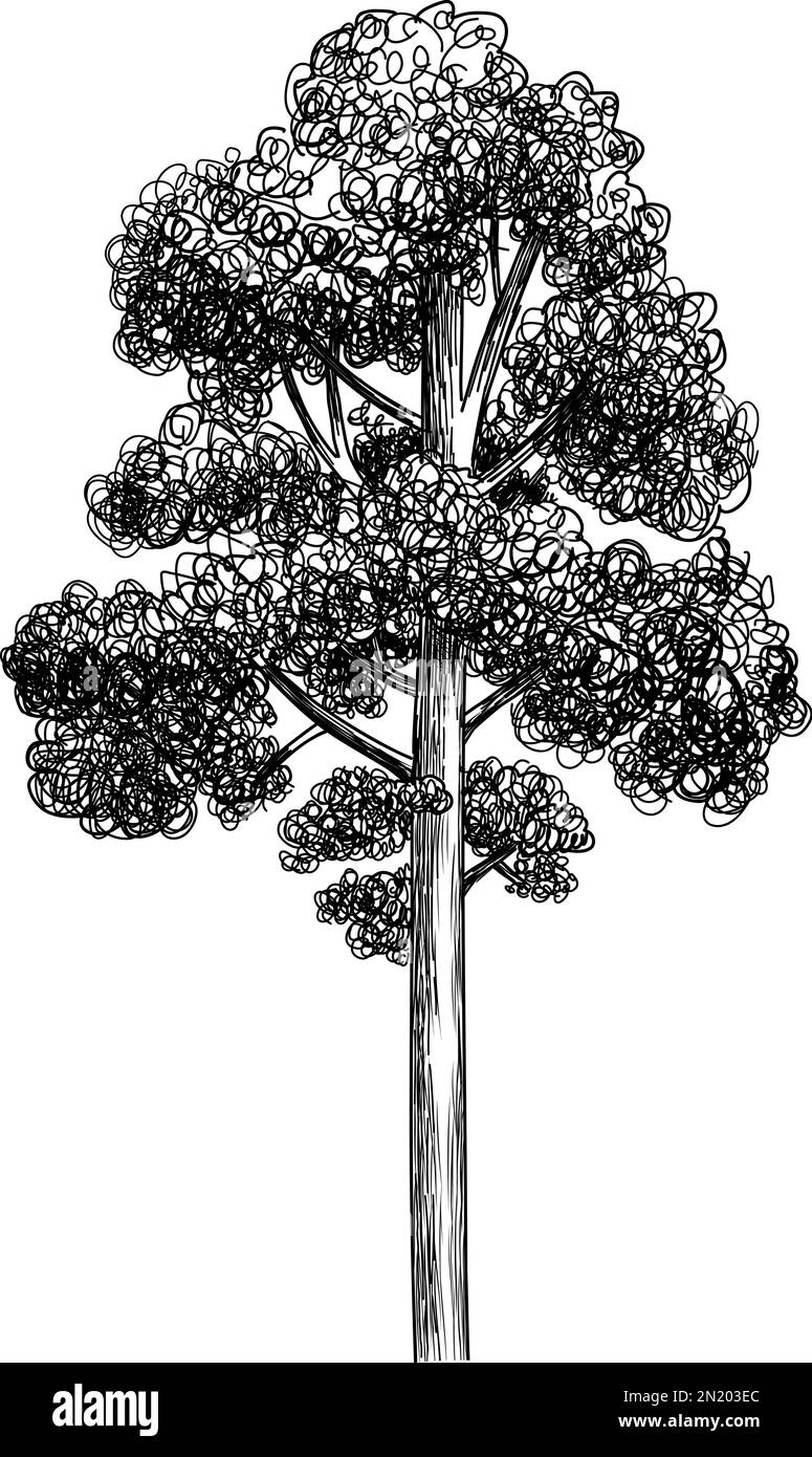 Plant tree forest icon outline, hand drawn vector. Garden drawing Stock ...