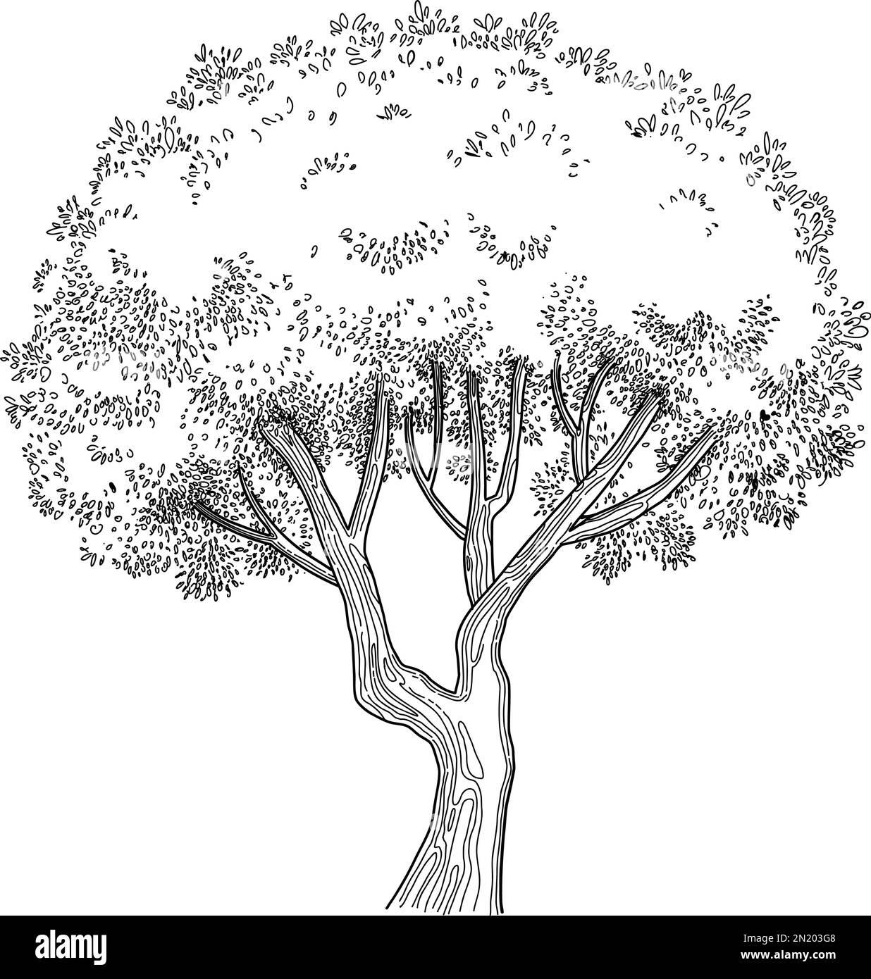 Plant tree forest icon outline, hand drawn vector. Garden drawing Stock ...
