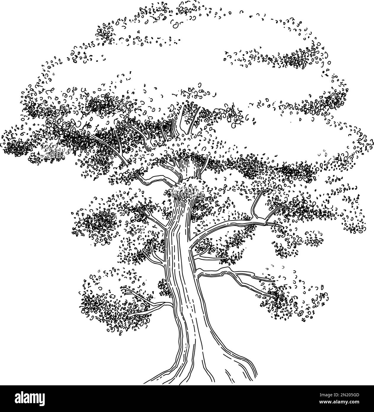 Plant tree forest icon outline, hand drawn vector. Garden drawing Stock ...