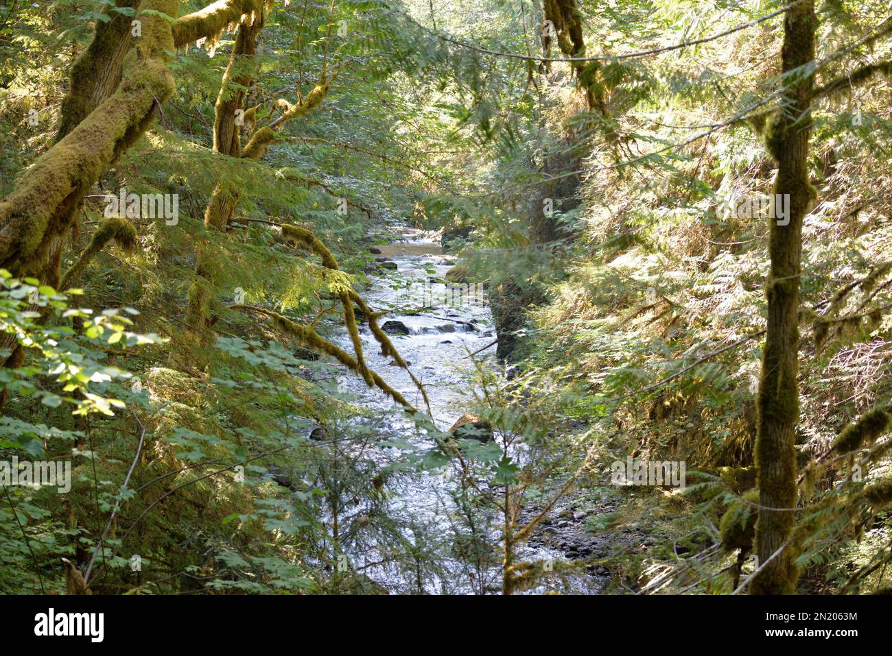 The Dungeness River Stock Photo - Alamy