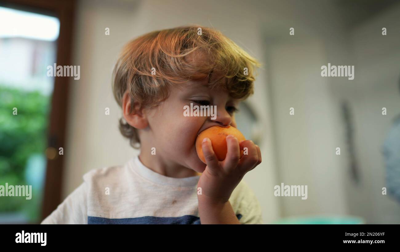 One little boy eats apricot fruit. Portratic child eating healthy snack ...