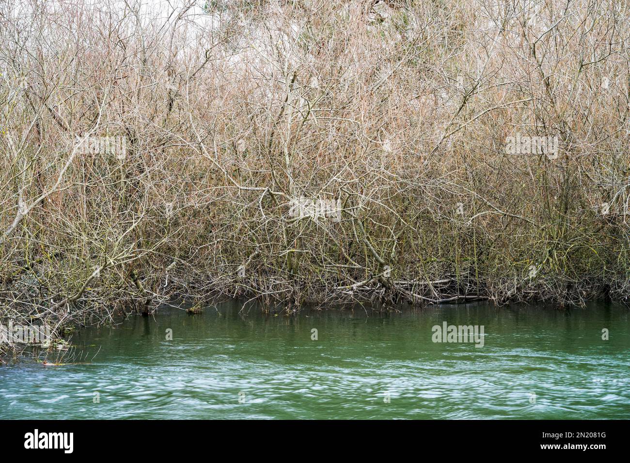 Green landscape dense trees hi-res stock photography and images - Alamy