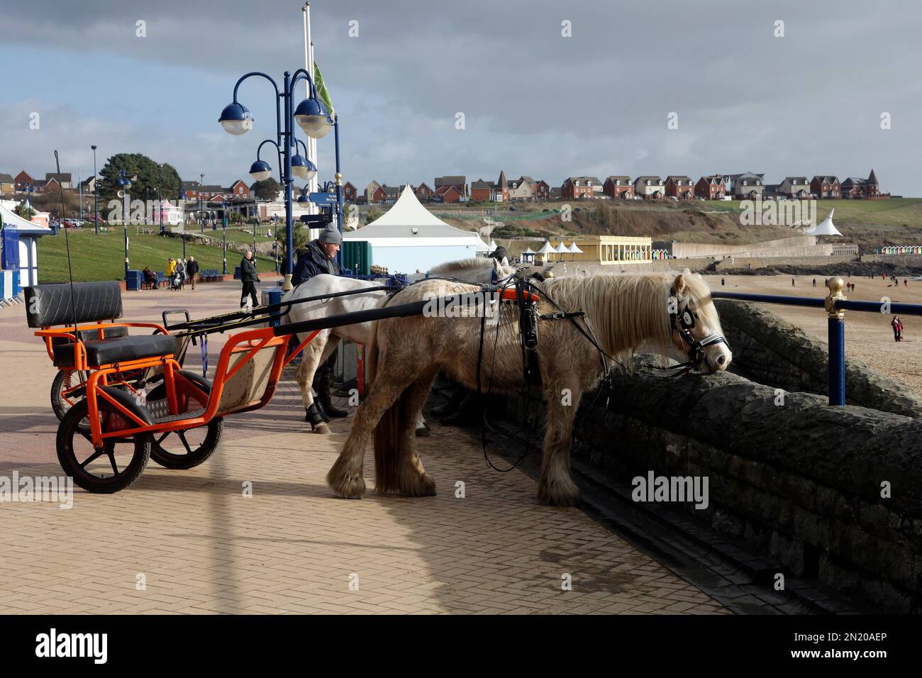 Ponies in harness tetehered to railings, pulling training carts (Sulky ...
