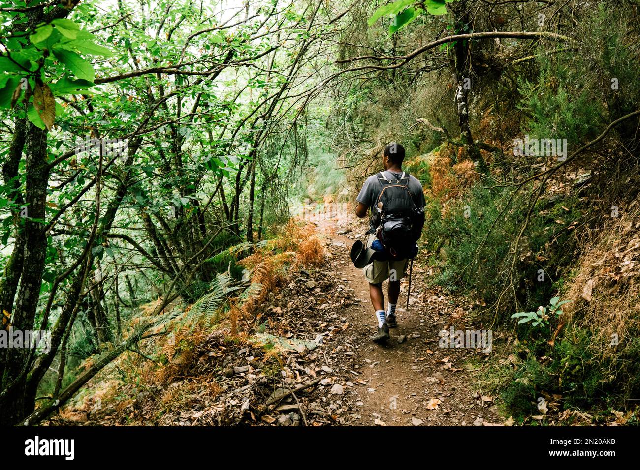 Male natural nature outdoor hi-res stock photography and images - Alamy