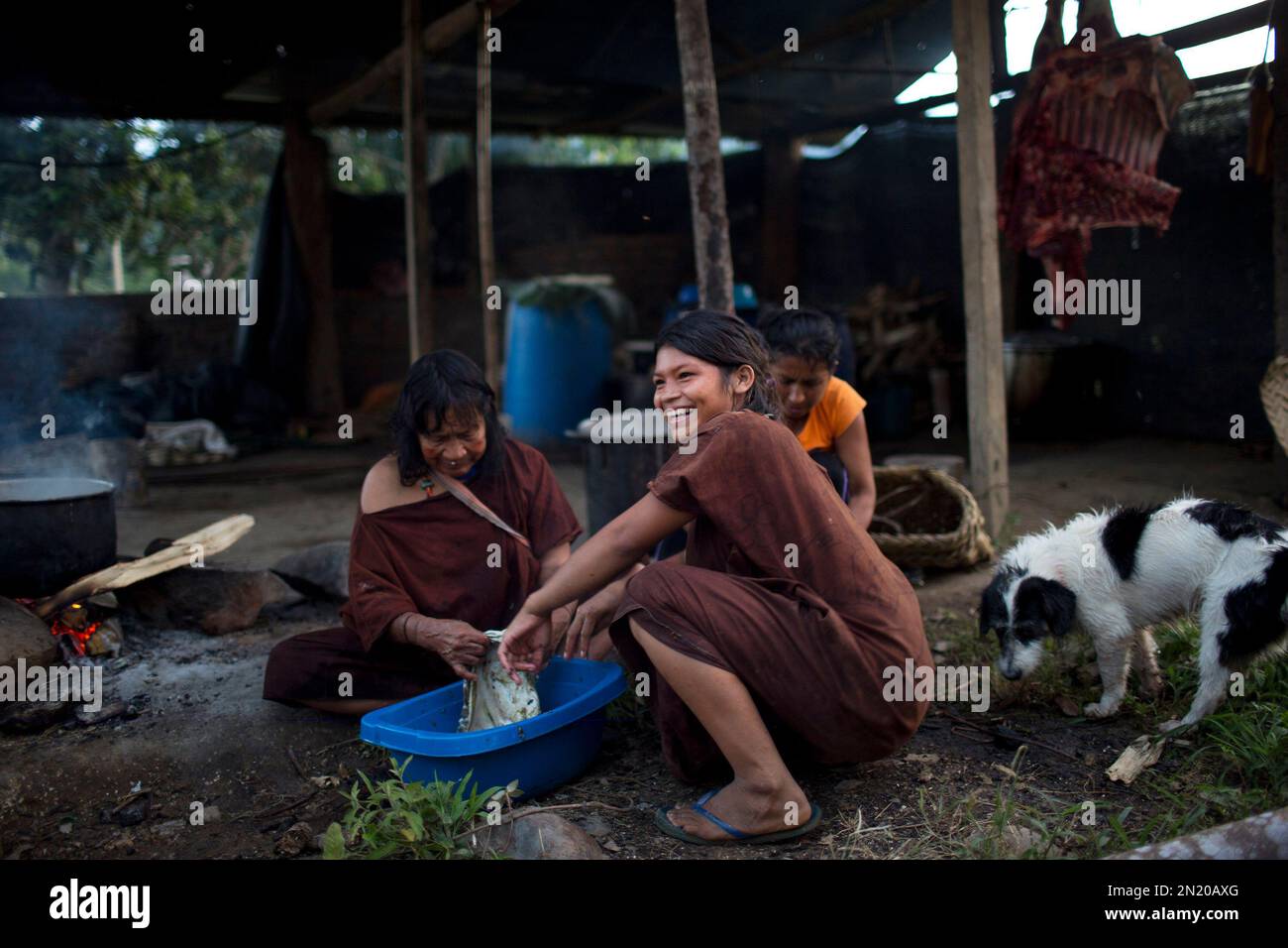 In this June 22, 2015 photo, Ashaninka Indian women wash cow viscera to ...