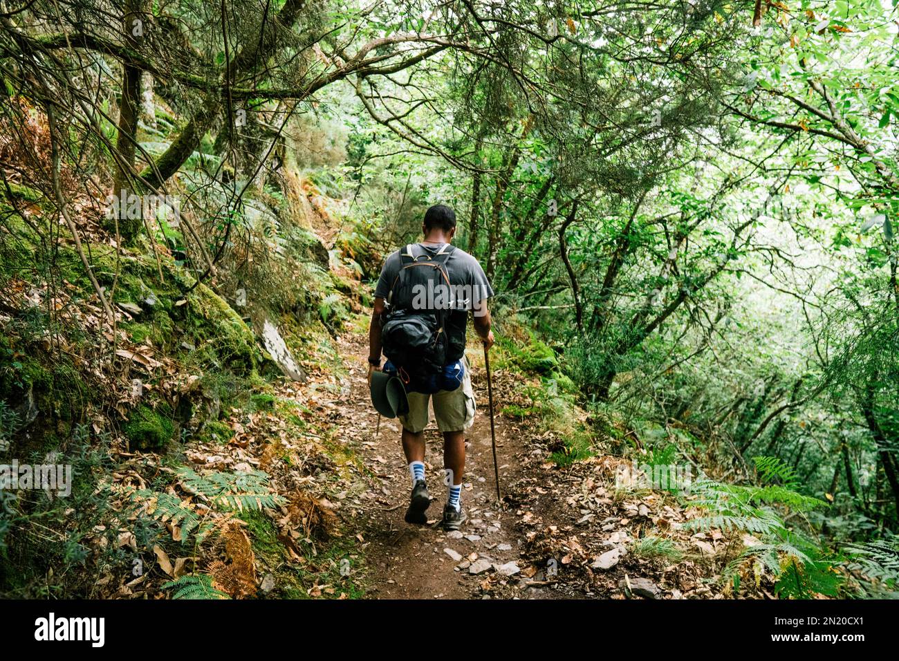 MAN WALKING IN THE NATURE AND DOING A HIKE Stock Photo - Alamy
