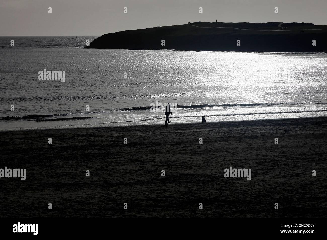 Silhouette of a man walking a dog along shoreline, evening with light ...