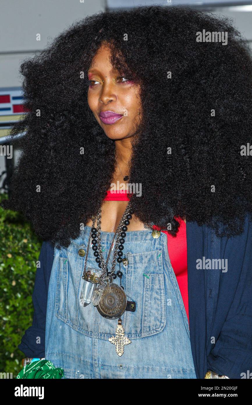 Erykah Badu Body