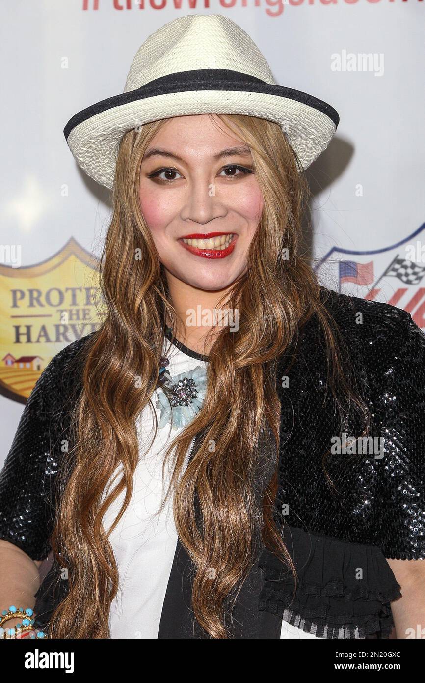 Alice Aoki attends the premiere of "The Wrong Side of Right" at the TCL ...