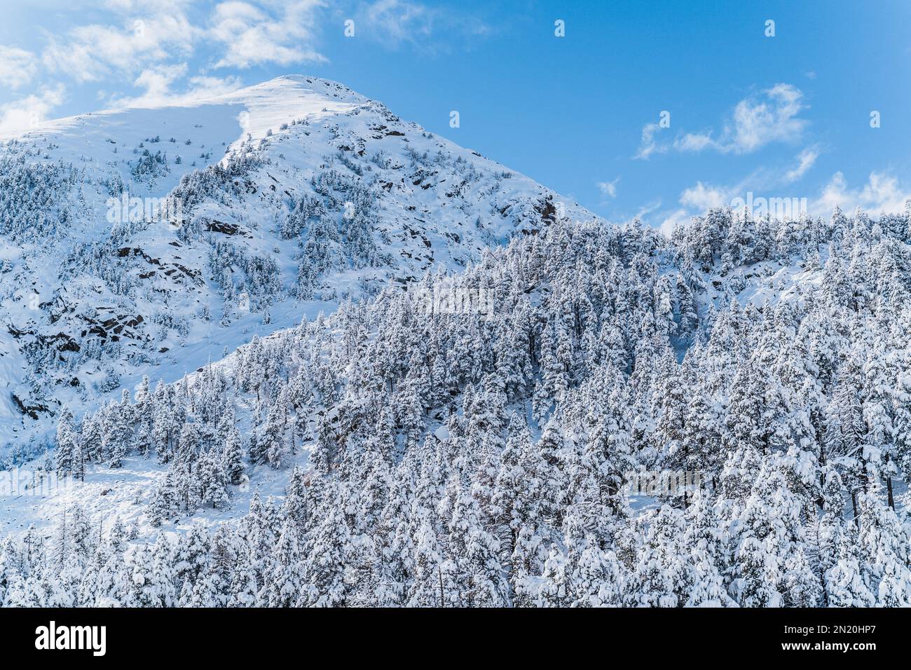 Winter landscape of beautiful snowy mountains and forest with alpine ...