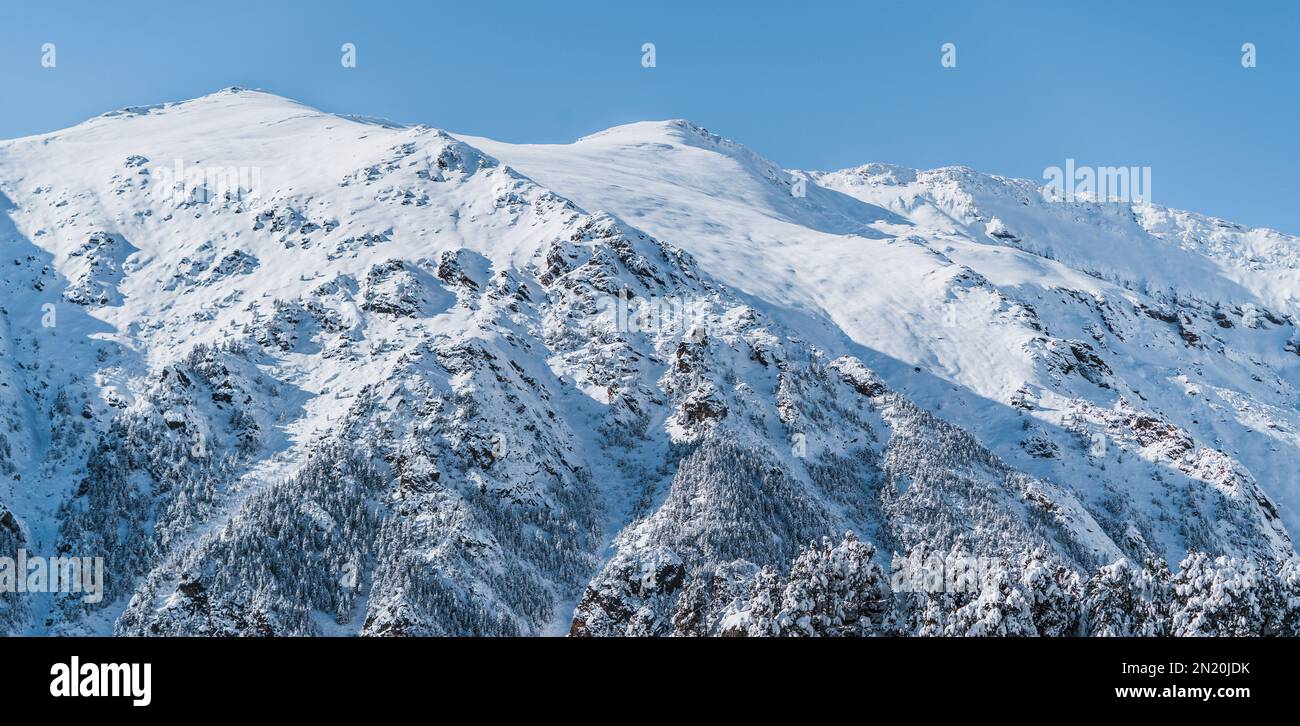 Panoramic view of beautiful snowy mountains and forest with alpine ...