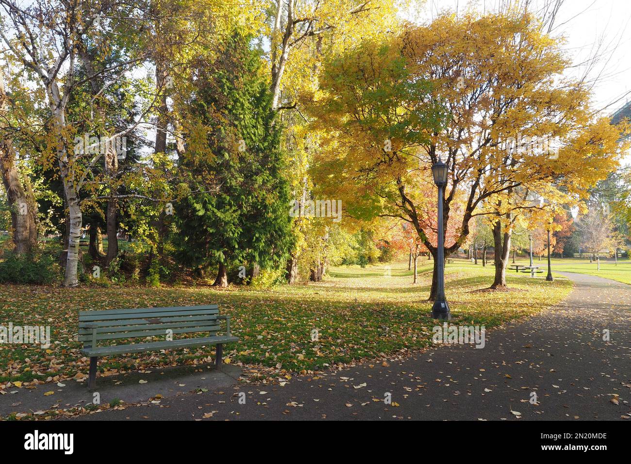 Park bench lamp post fall colors hi-res stock photography and images ...