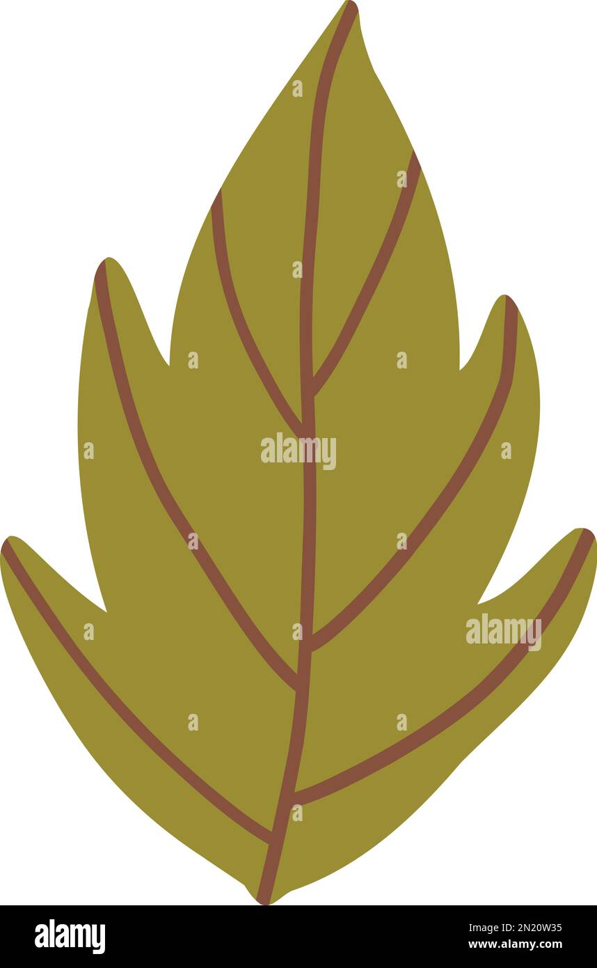 Colored pumpkin leaf hand drawn vector graphic illustration. Colorful ...