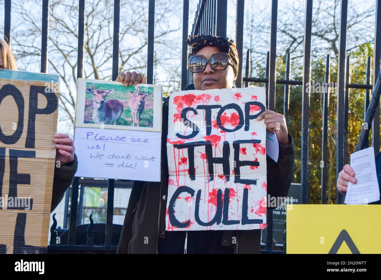 London, UK. 06th Feb, 2023. A protester holds a 'Stop the cull' placard ...