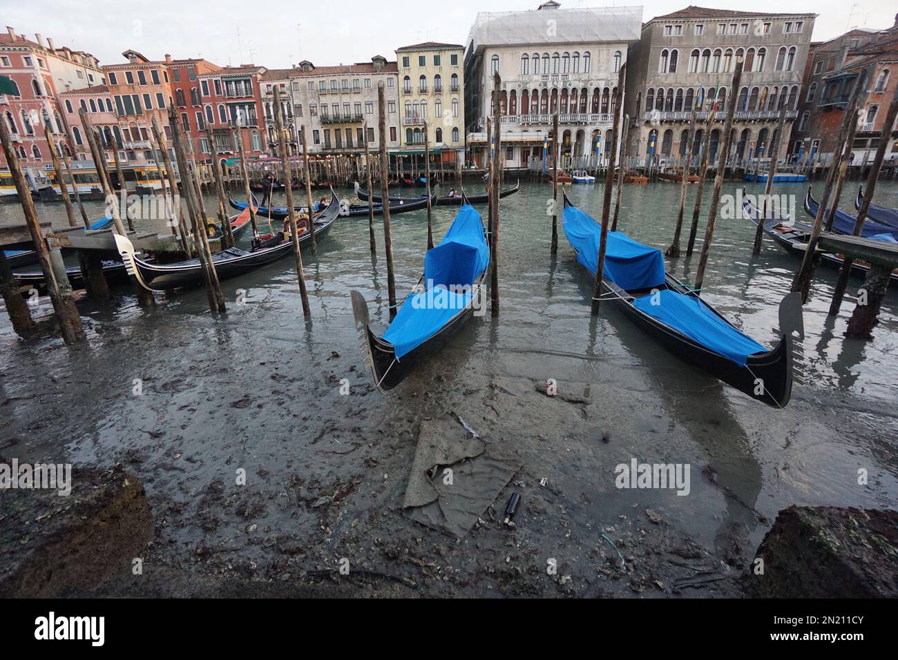 Gondolas lie on the bottom of the Grand Canal during an unusually low ...