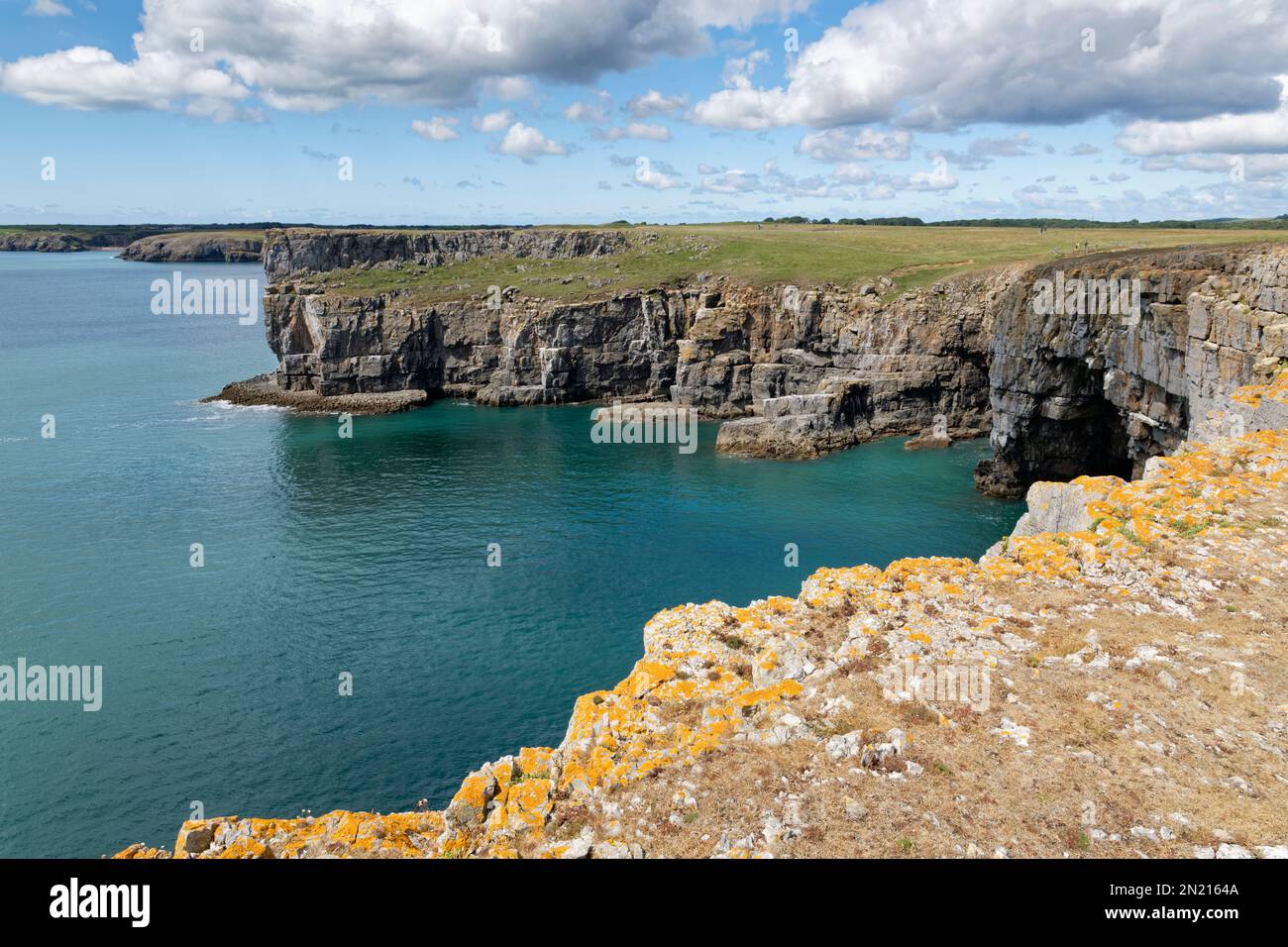 View west to the Mowingword promontory from Stackpole Head, with St. Govan’s Head in the ...