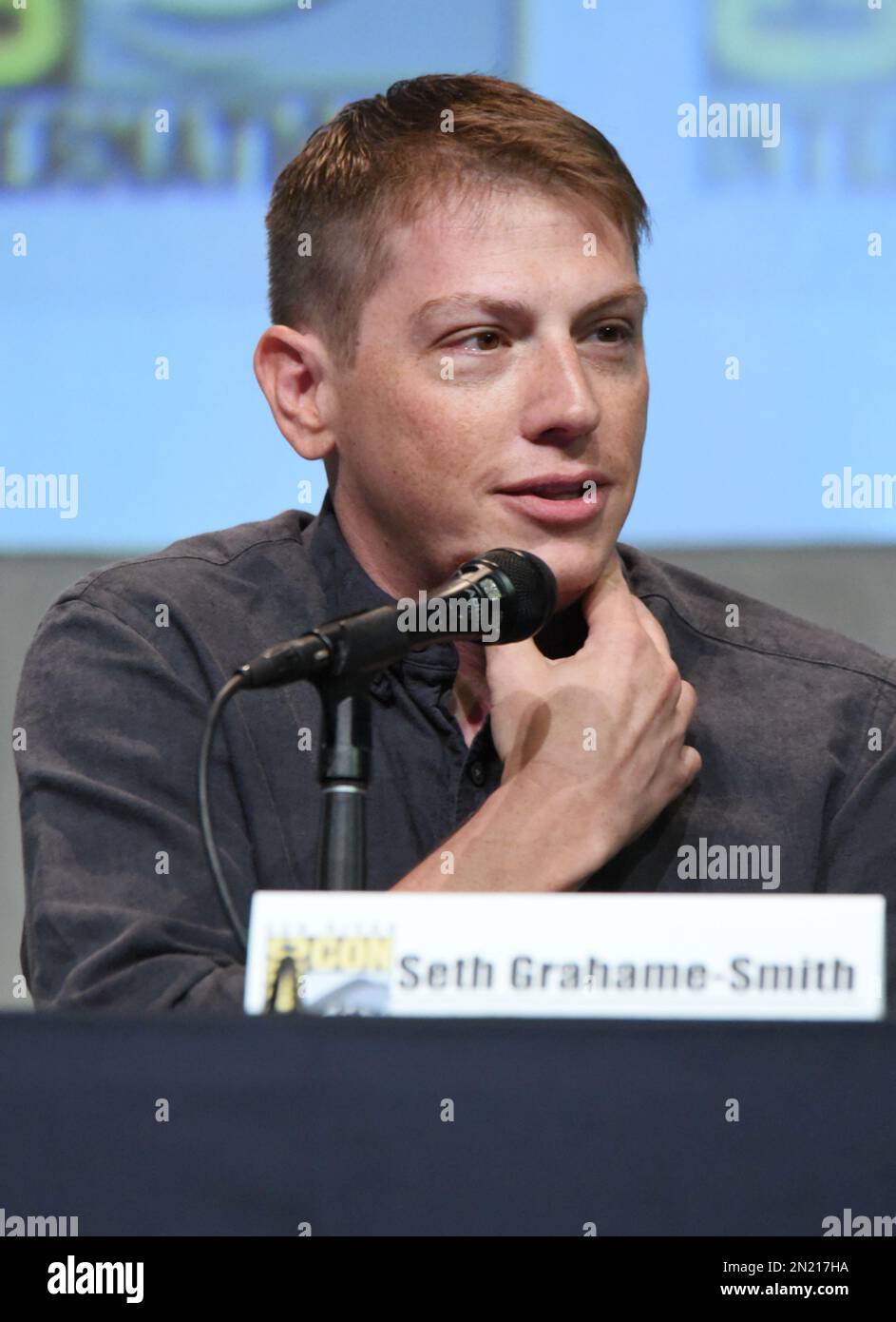 Seth Grahame-Smith attends the "Pride and Prejudice and Zombies" panel ...
