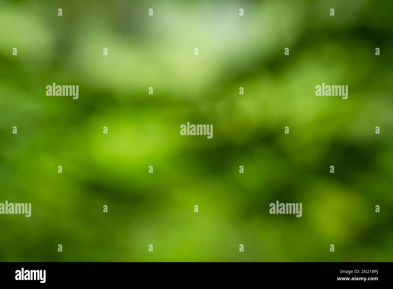 Soft focus photograph hi-res stock photography and images - Alamy
