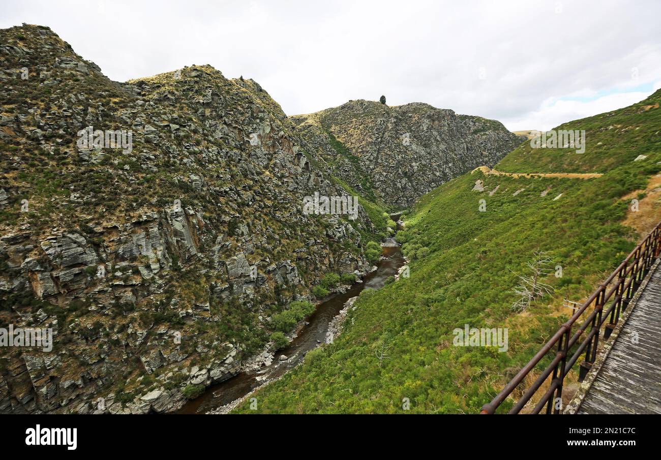 Taieri gorge railway hi-res stock photography and images - Alamy