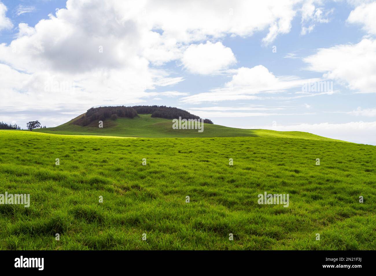 Open grassy spaces hi-res stock photography and images - Alamy
