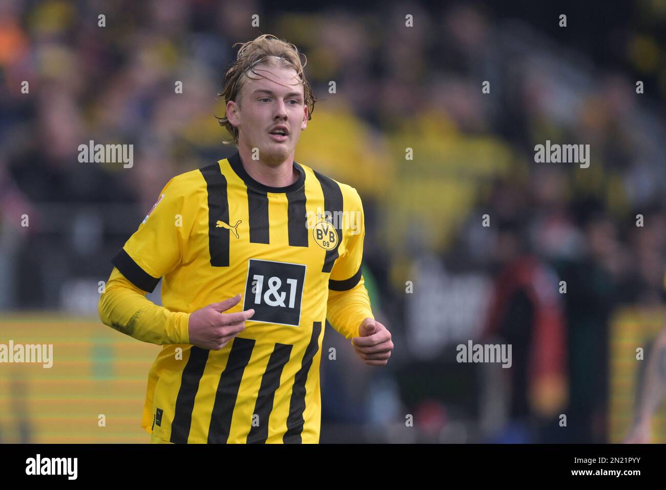 DORTMUND - Julian Brandt of Borussia Dortmund during the Bundesliga ...