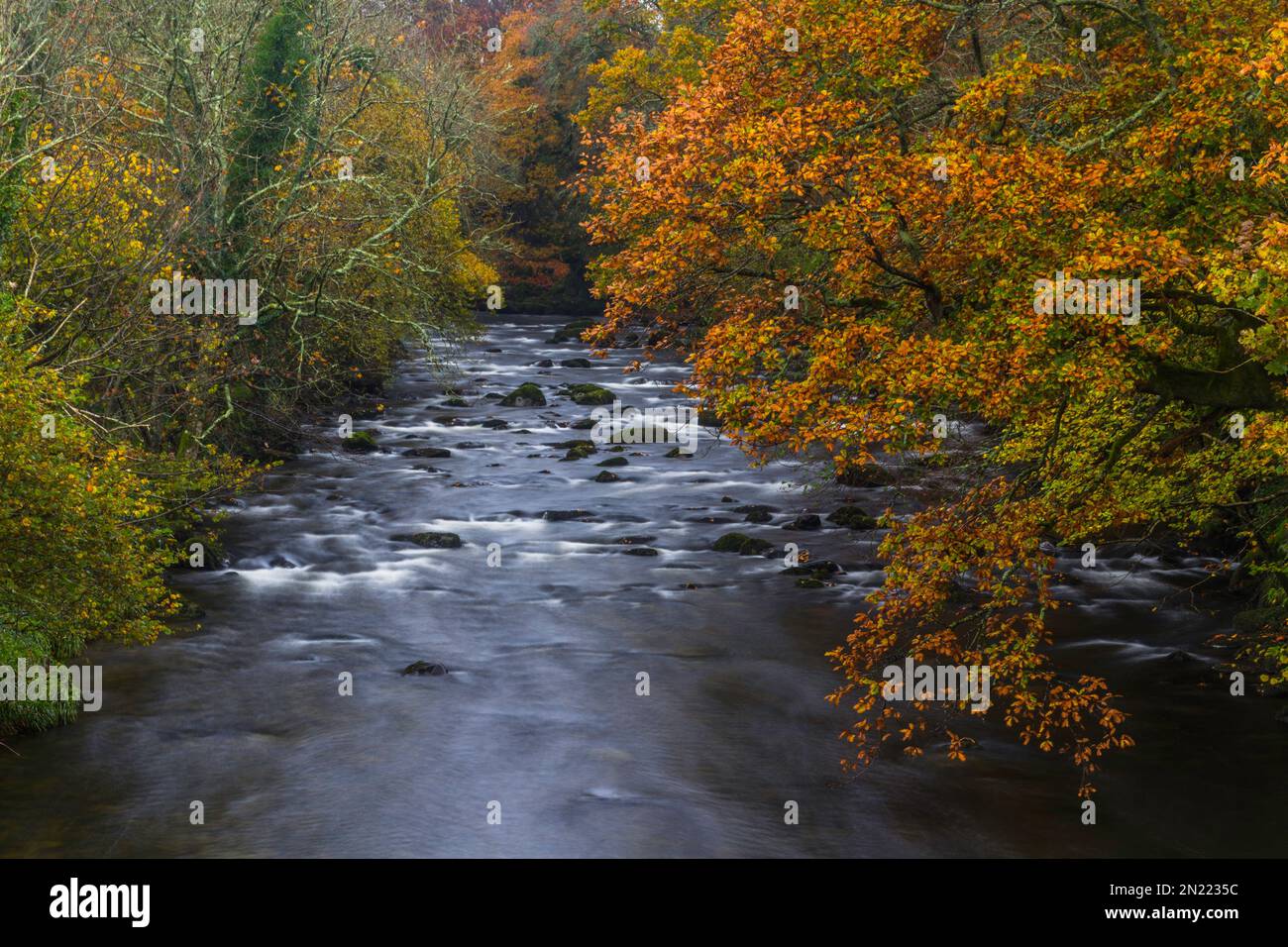 Bridge over River Afon Dwyfor in Llanystumdwy , a village associated ...