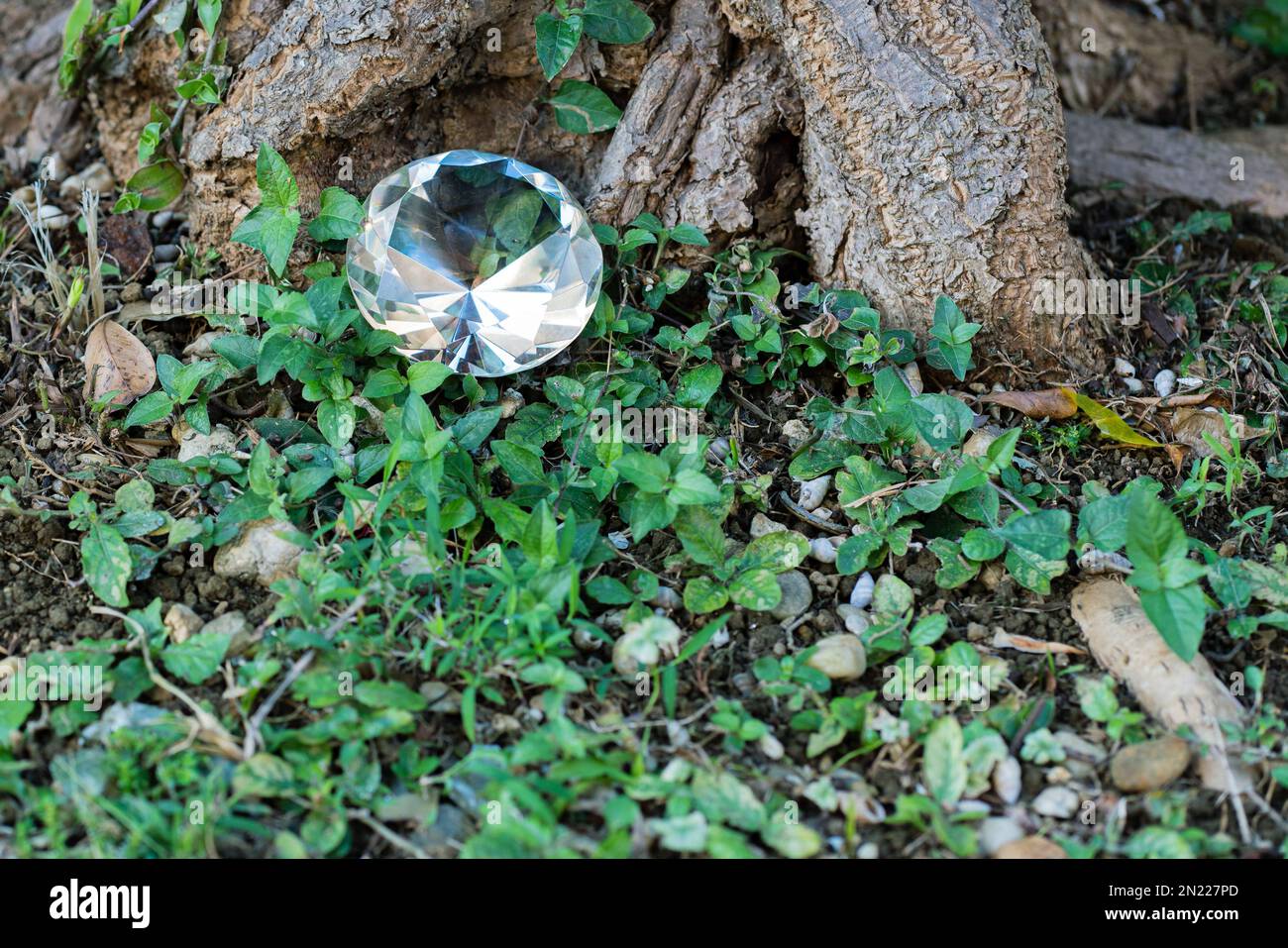 Closeup ice on diamond hi-res stock photography and images - Alamy