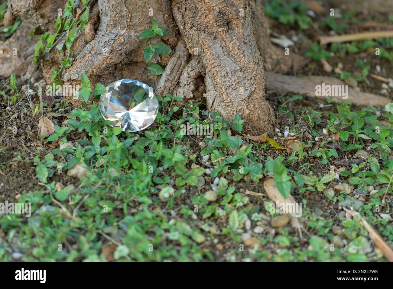 Geocache geo cache geocaching hi-res stock photography and images - Alamy