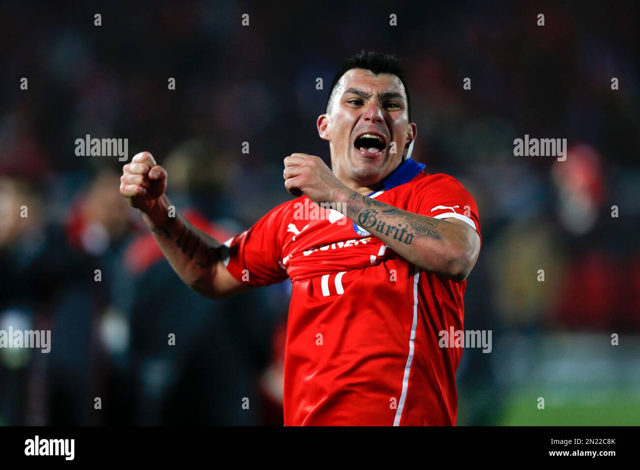 Chile's Gary Medel celebrates after Chile won the Copa America final ...