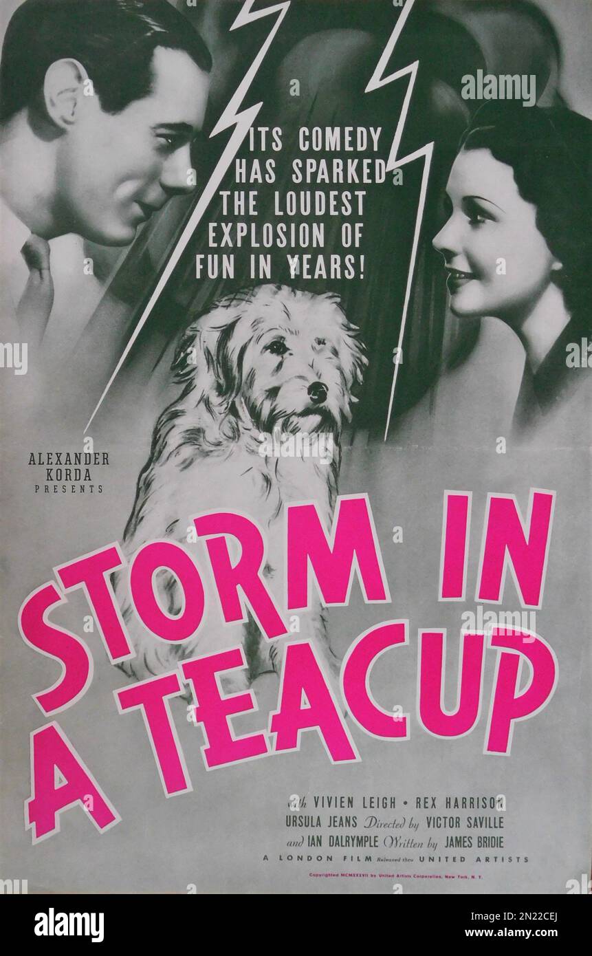 VIVIEN LEIGH and REX HARRISON with SCRUFFY the Dog in STORM IN A TEACUP ...