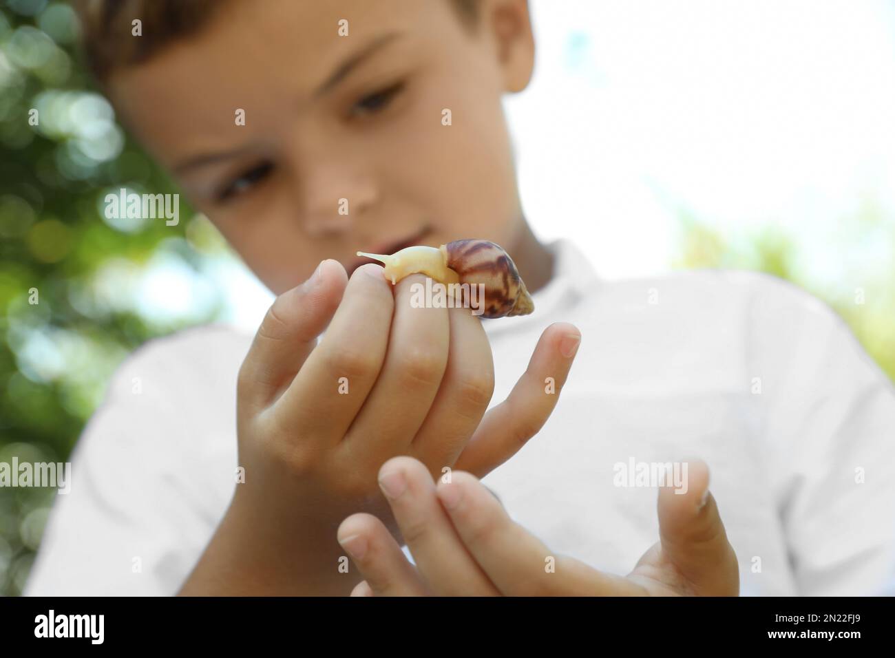 Boy playing with cute snail outdoors, focus on hand. Child spending ...