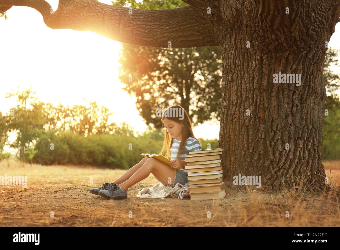 Cute little girl reading book near tree in park Stock Photo - Alamy