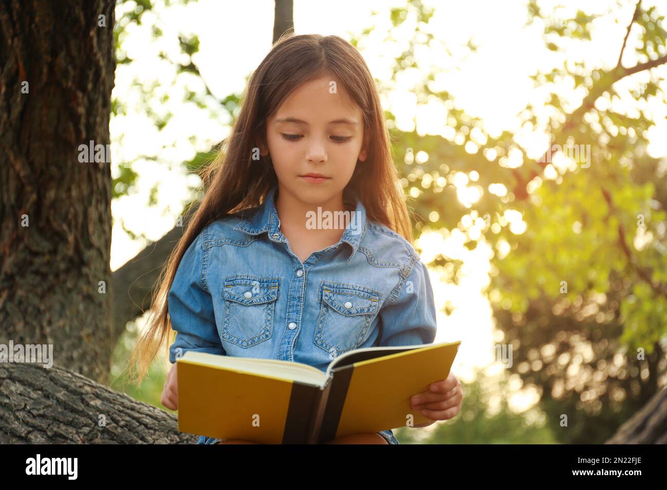 Cute little girl reading book on tree in park Stock Photo - Alamy