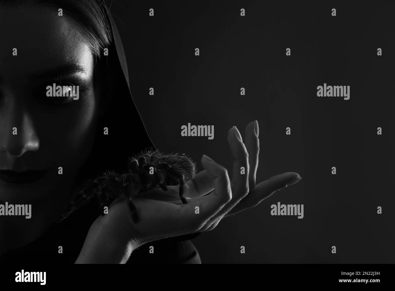 Mysterious witch with spooky spider on dark background, closeup. Black ...