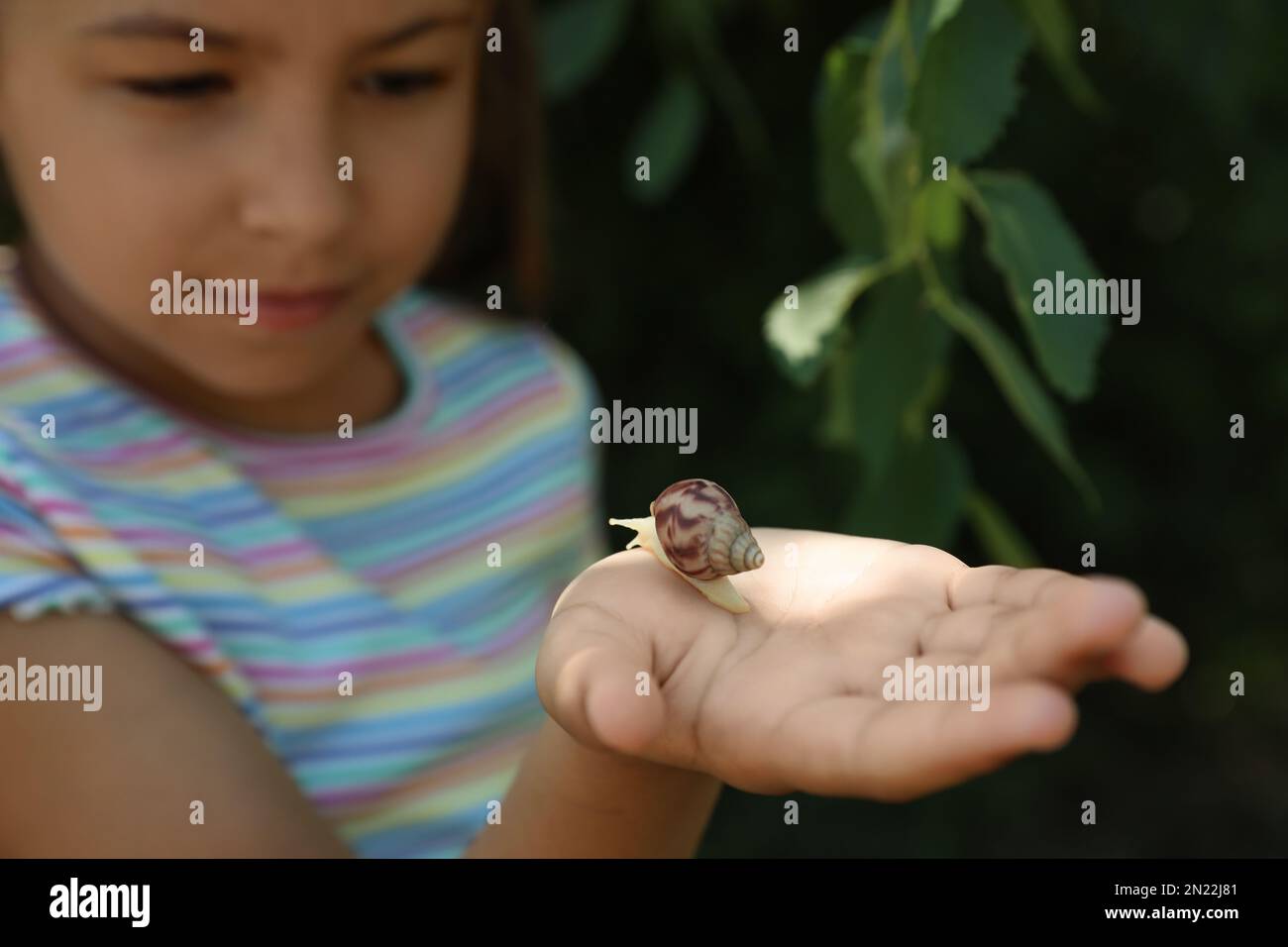 Girl playing with cute snail outdoors, focus on hand. Child spending ...